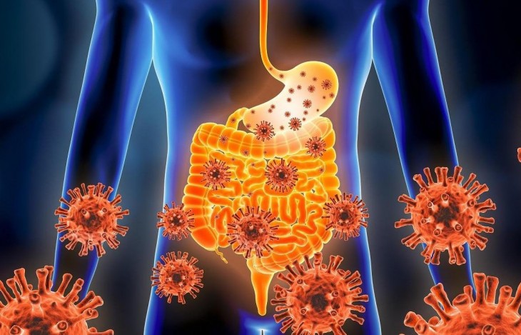 Gastro-entérite à Norovirus - Actualités - Sante-dz